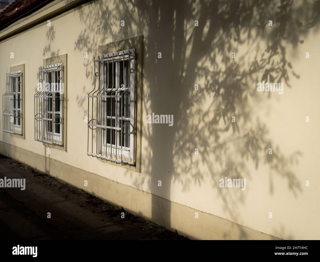 Windows tree silhouette hi-res stock photography and images - Alamy