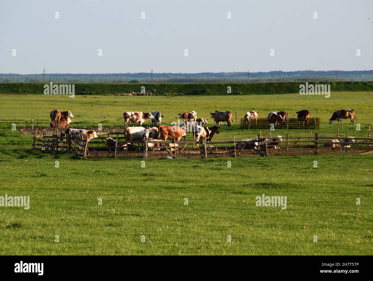 ARADAC, SERBIA - May 08, 2021: Aradac Serbia 06.May 2021.we can see ...