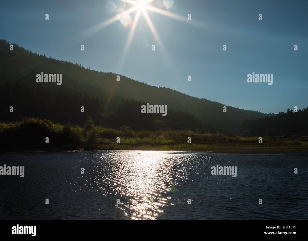 Redwoods in oregon hi-res stock photography and images - Alamy