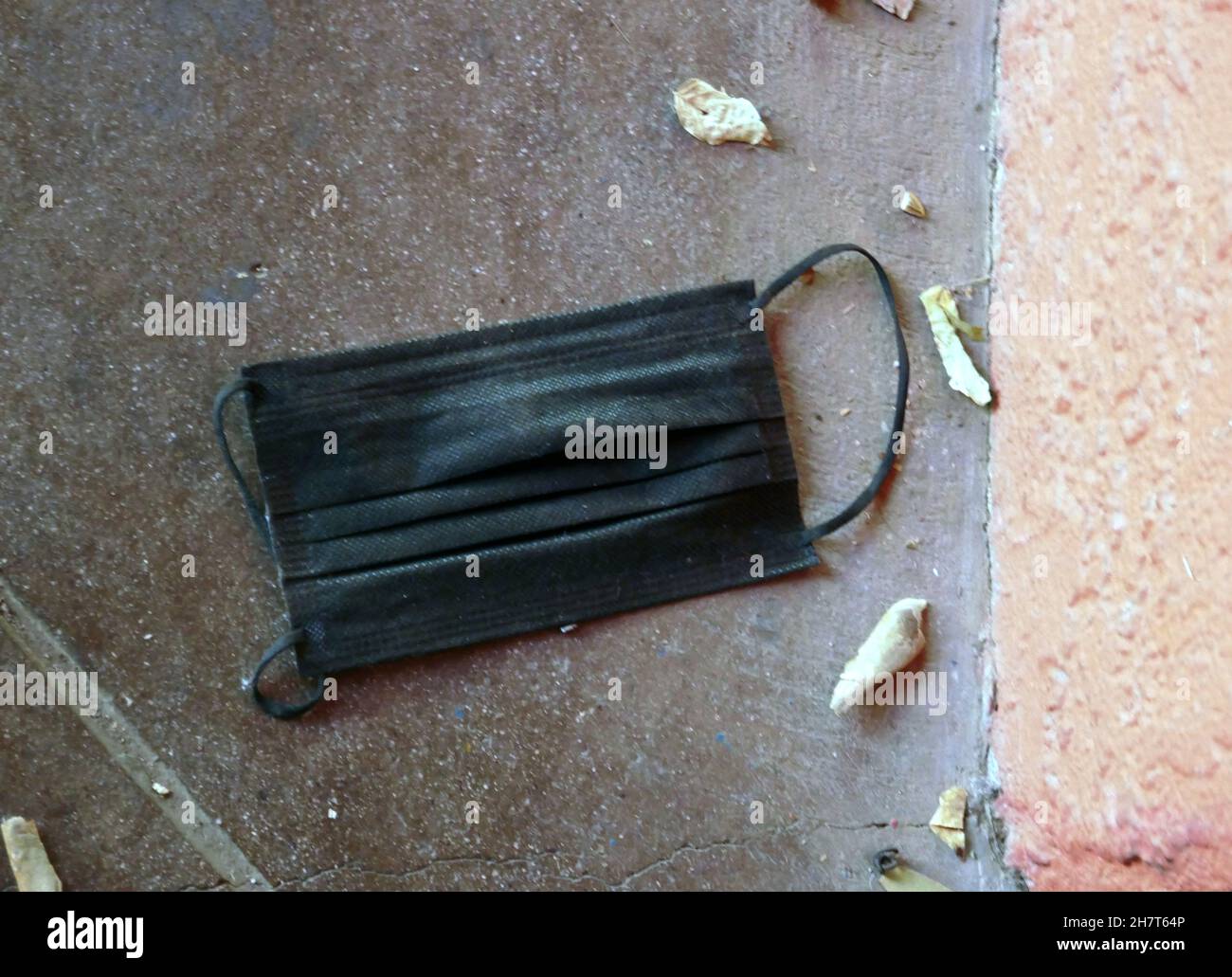 Los Angeles, California, USA 11th November 2021 A general view of ...