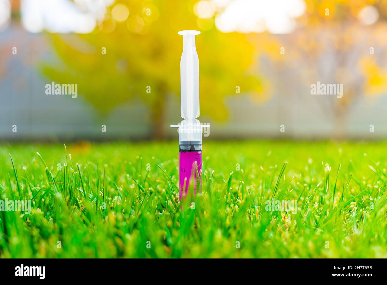 A large syringe with a liquid of a poisonous color is stuck into a ...
