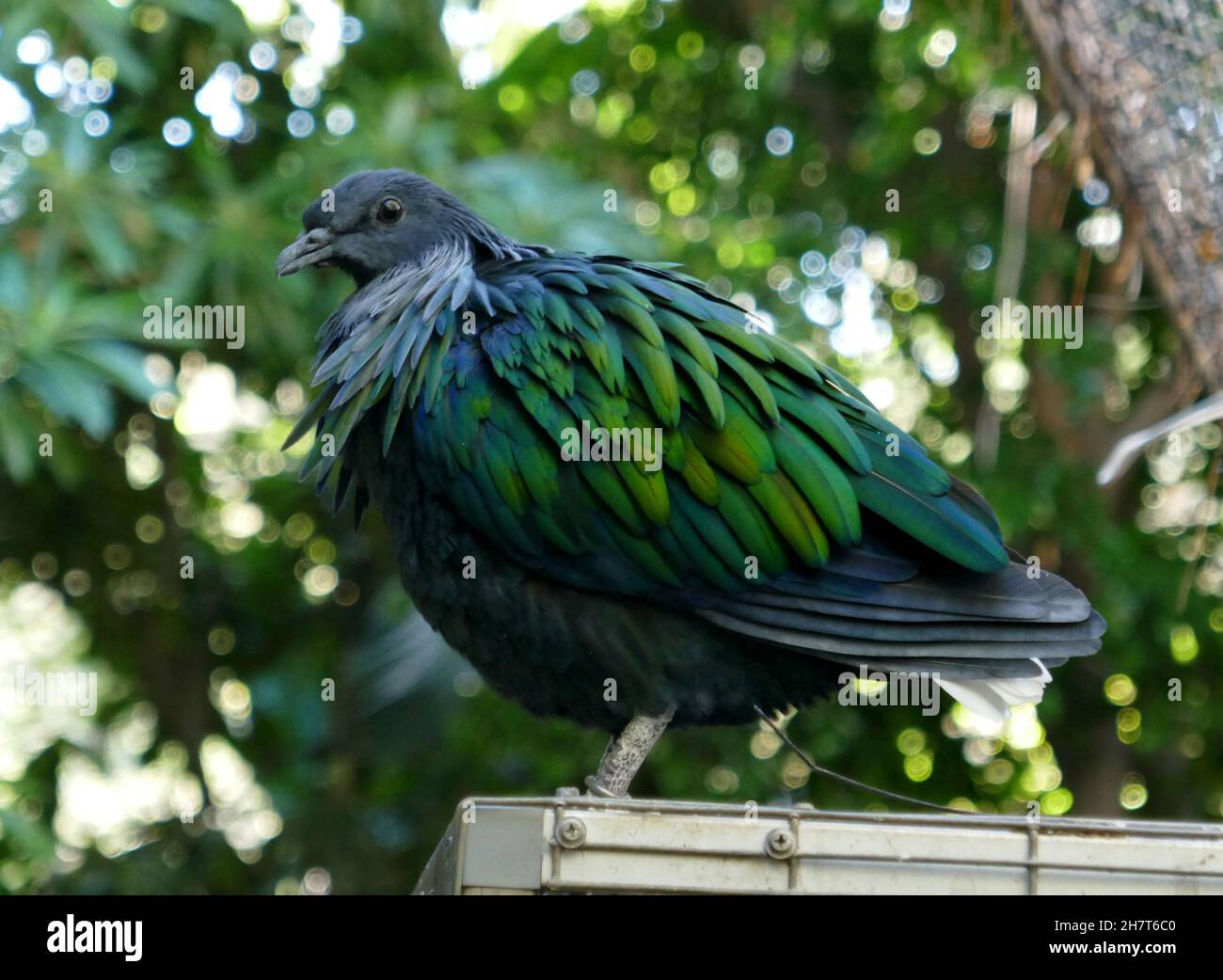 Los Angeles, California, USA 11th November 2021 A general view of ...