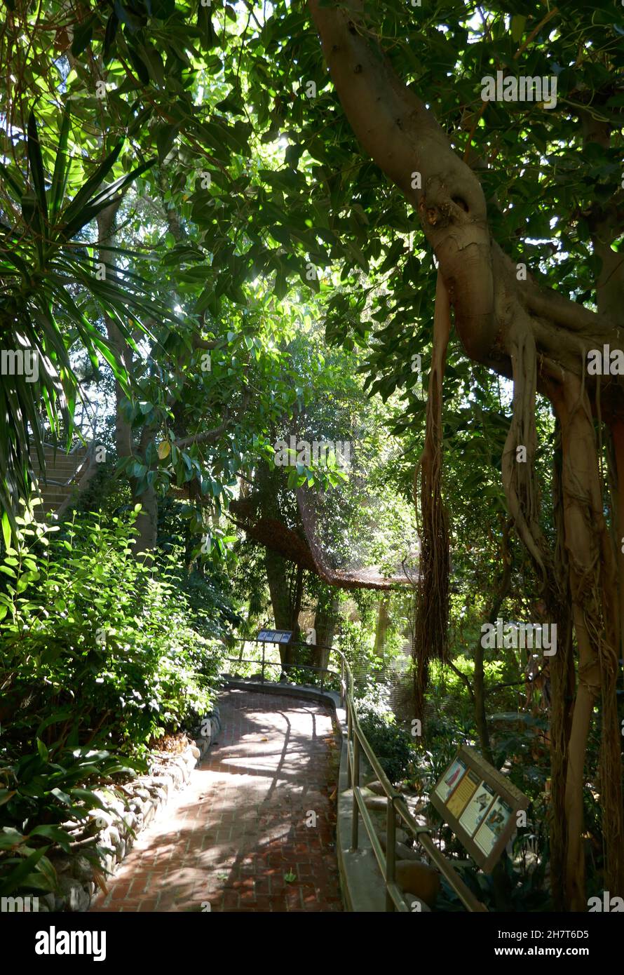 Los Angeles, California, USA 11th November 2021 A general view of ...