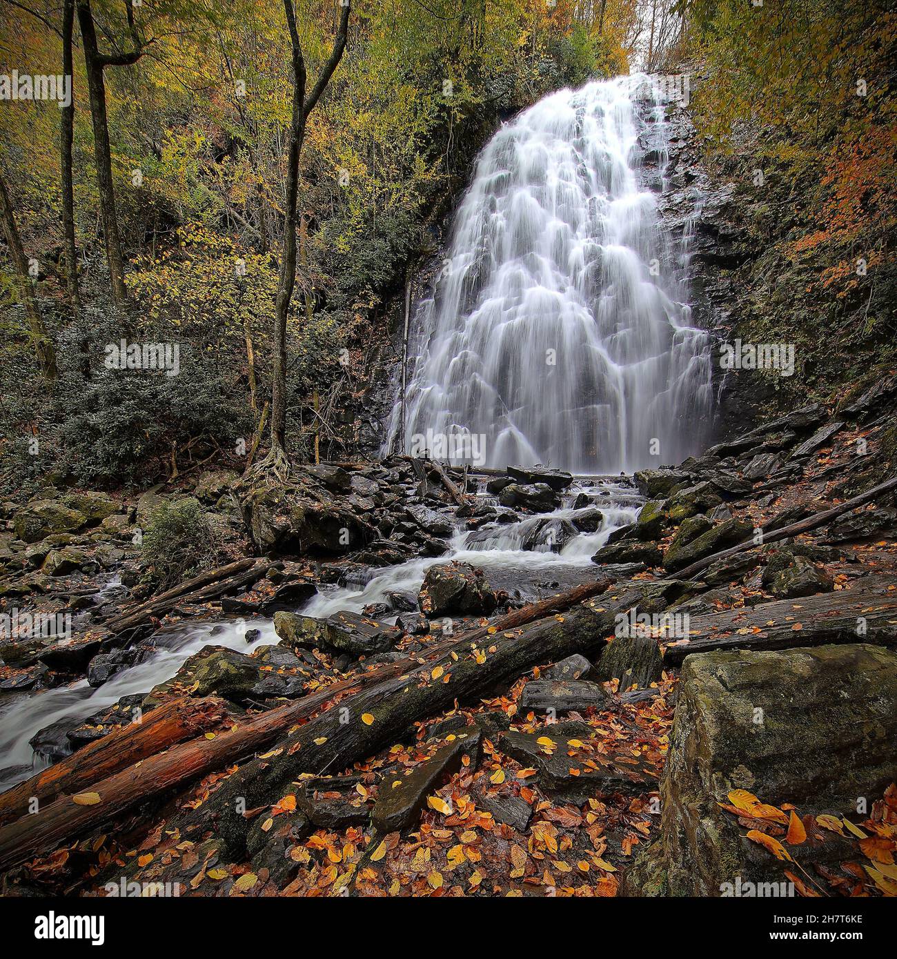 Mesmerizing landscape of a waterfall in the woods Stock Photo - Alamy