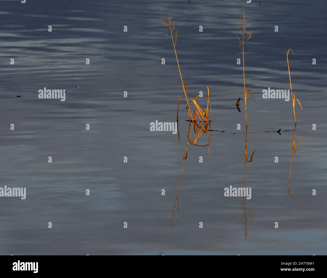 Hasberg sea hi-res stock photography and images - Alamy