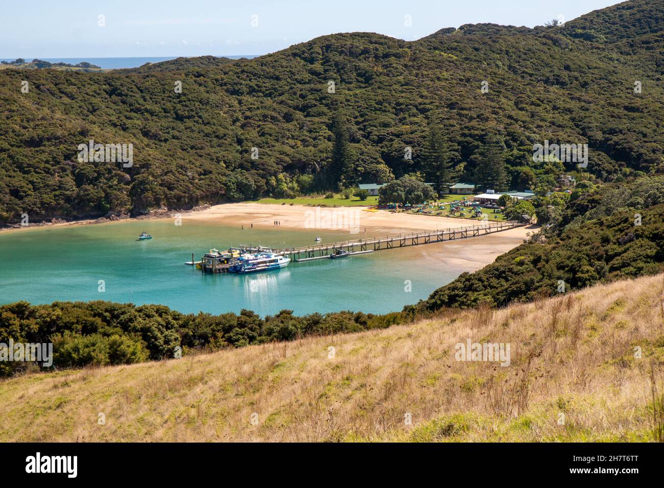 Urupukapuka island bay islands new hi-res stock photography and images ...