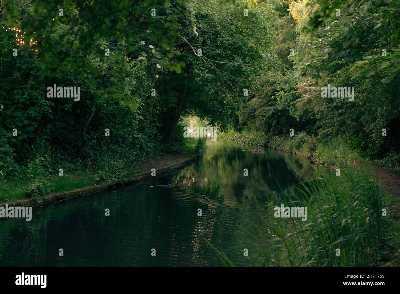 Birchmere hi-res stock photography and images - Alamy