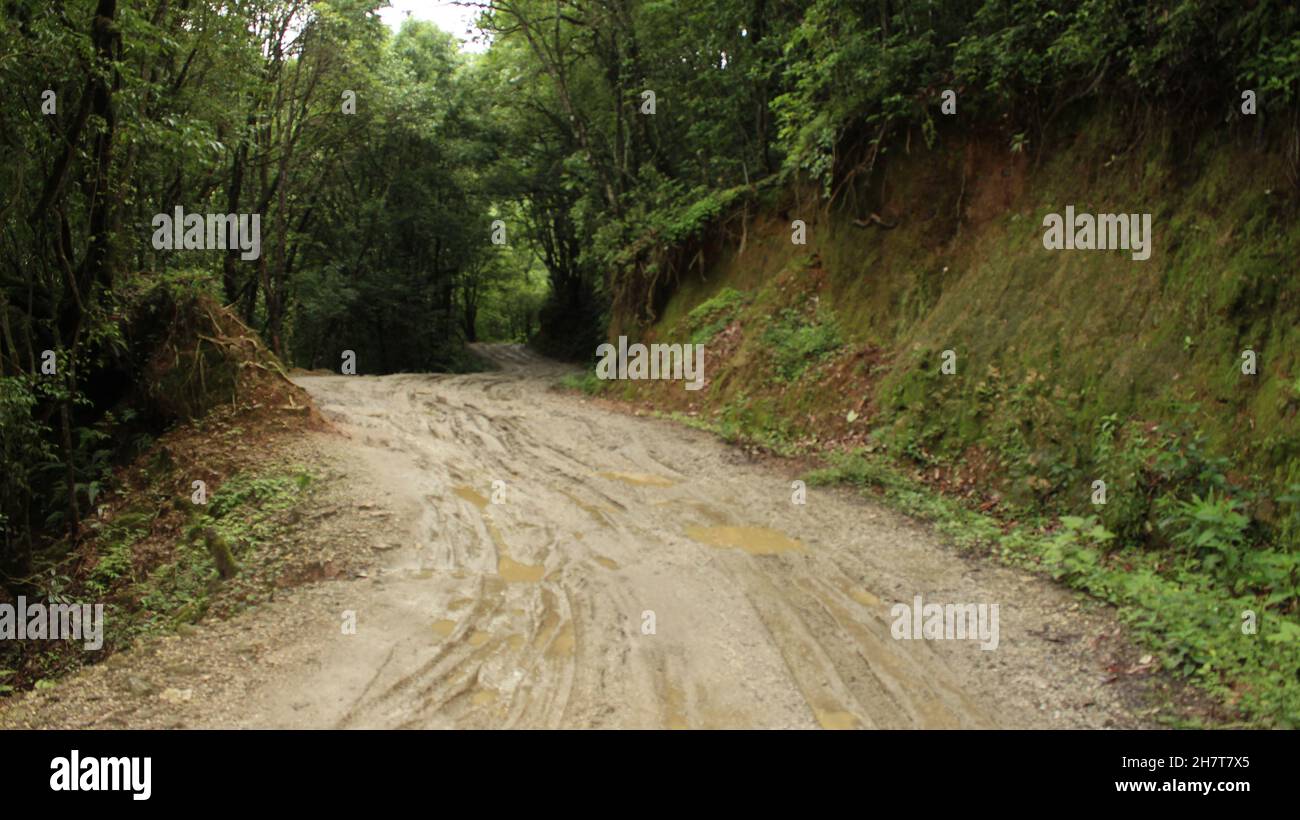 Wet pathway passing through hi-res stock photography and images - Alamy