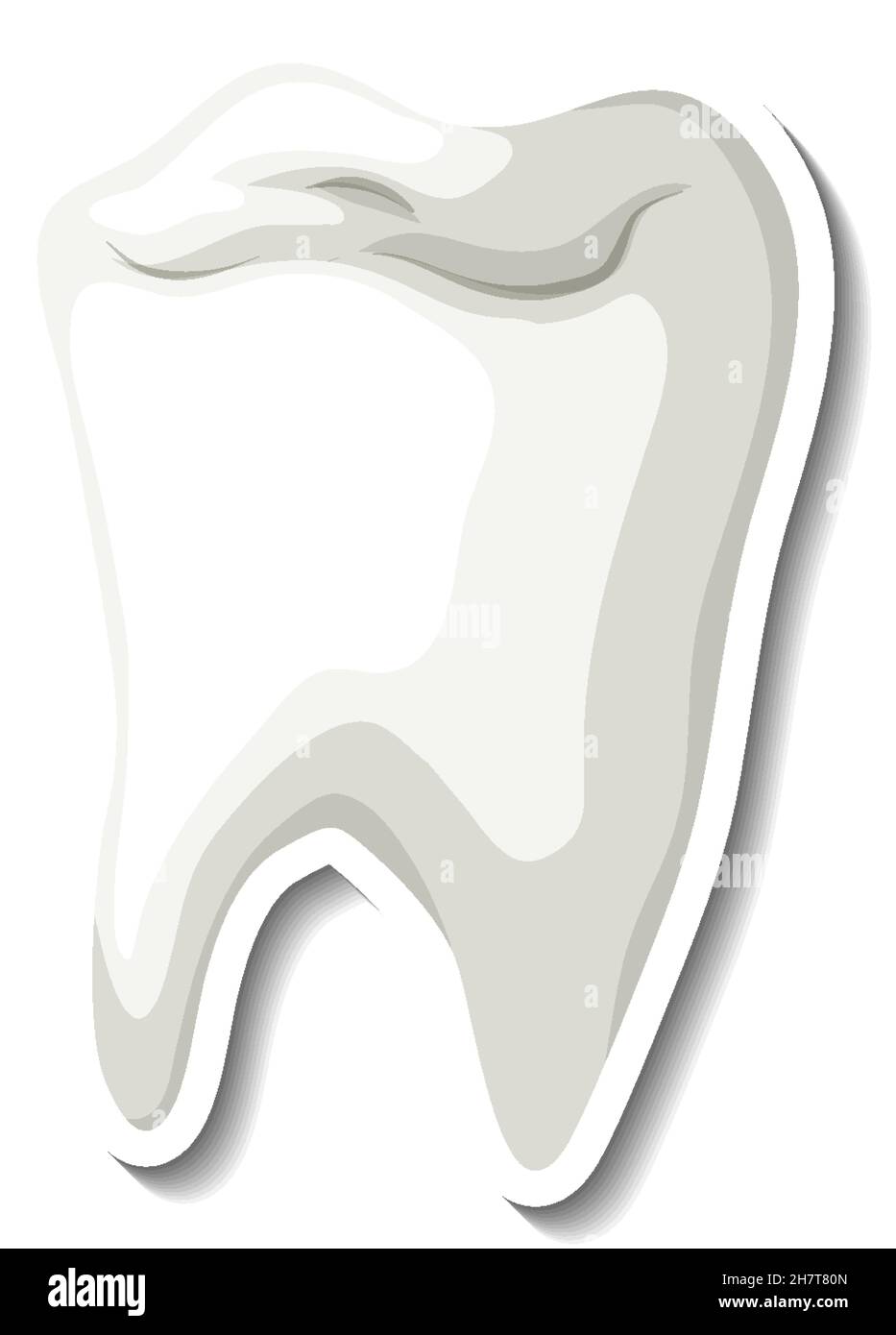 Isolated white tooth on white background illustration Stock Vector ...