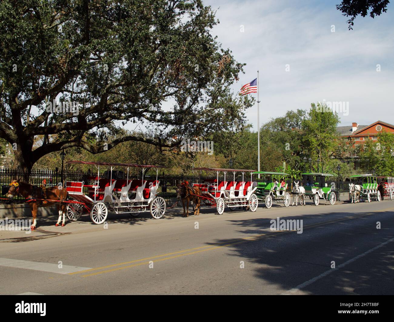 Mule drawn carriages hi-res stock photography and images - Alamy