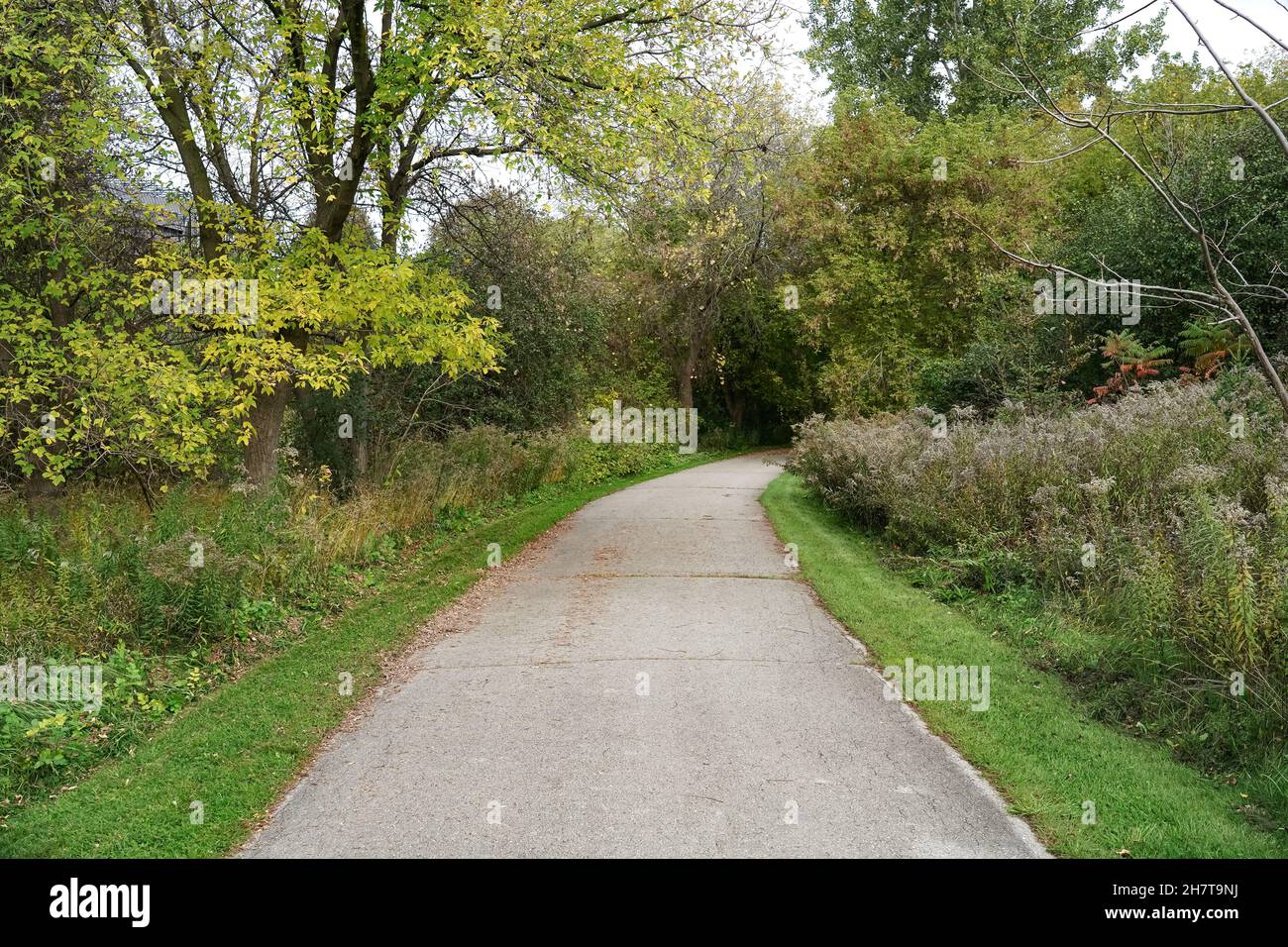 Shot of a path surrounded with trees and bushes leading to a forest ...