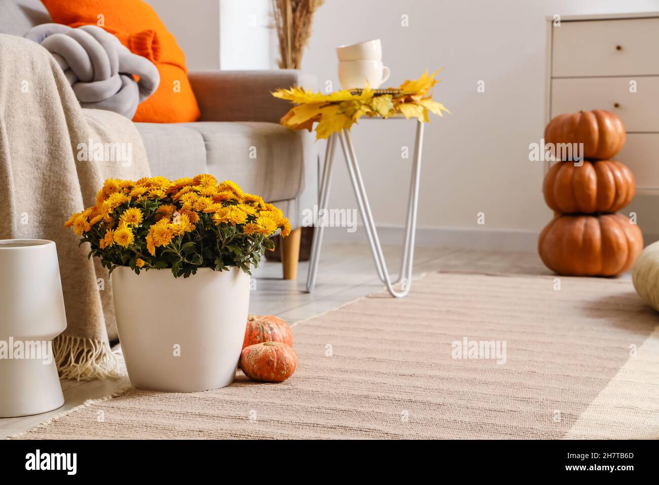 Interior of beautiful living room with autumn decor Stock Photo - Alamy