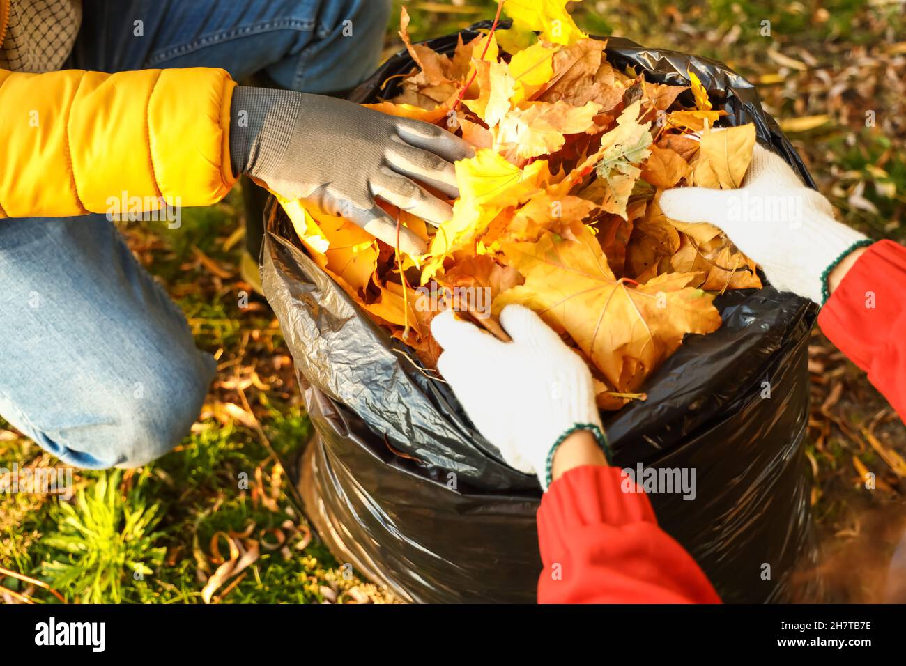Collecting leaves hands autumn hi-res stock photography and images - Alamy