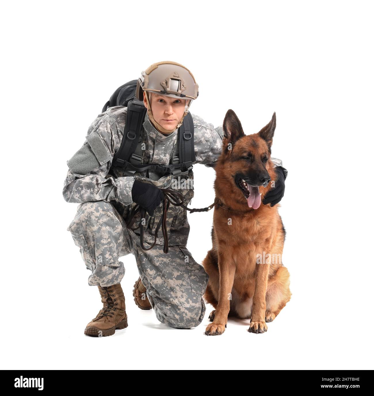 Soldier with military working dog on white background Stock Photo - Alamy