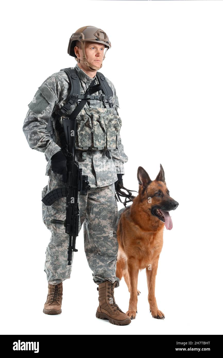 Soldier with military working dog on white background Stock Photo - Alamy