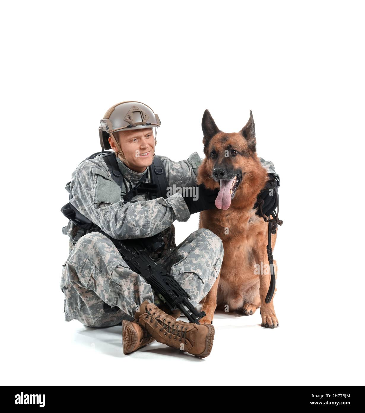 Soldier with military working dog on white background Stock Photo - Alamy