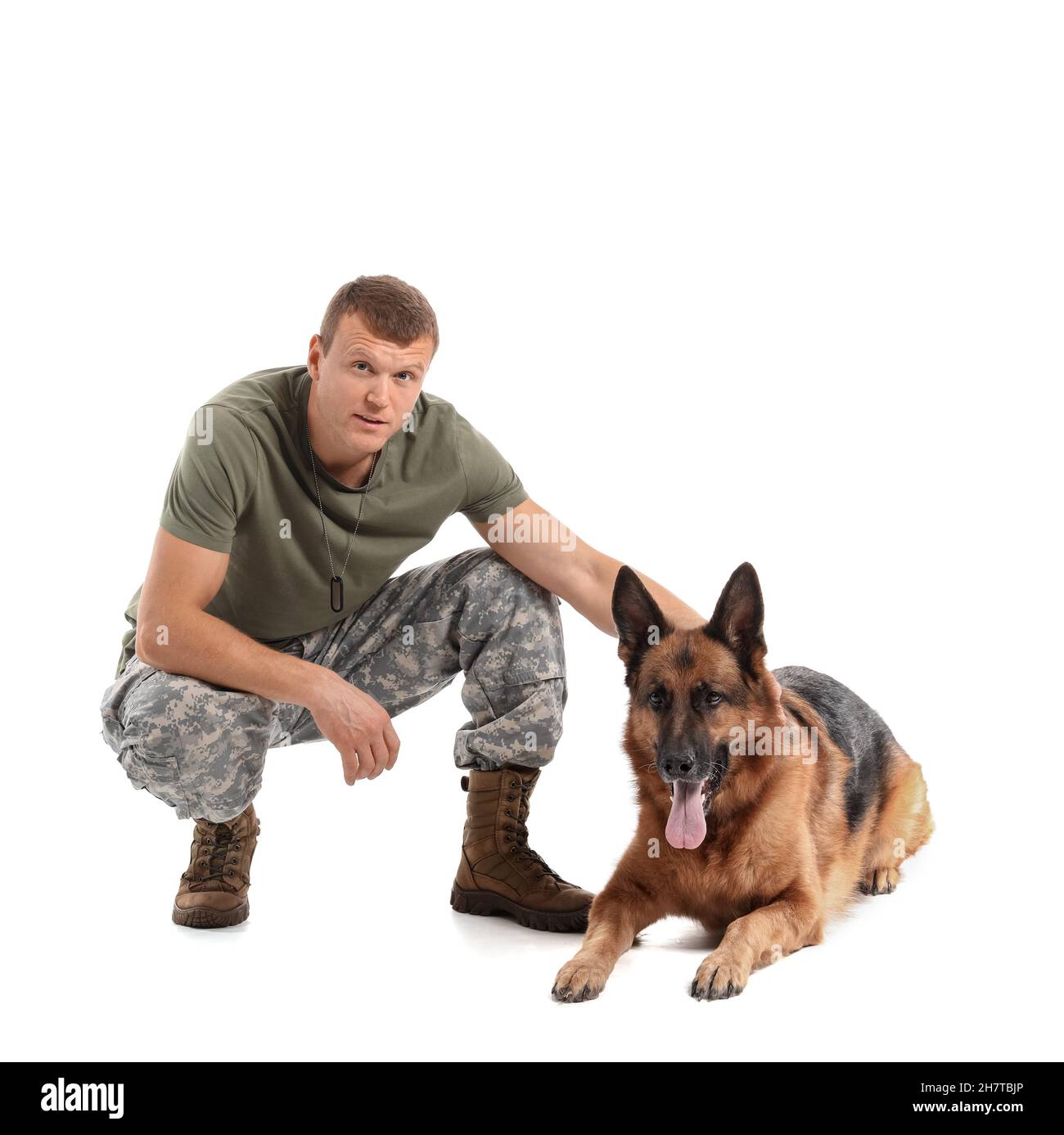 Soldier with military working dog on white background Stock Photo - Alamy