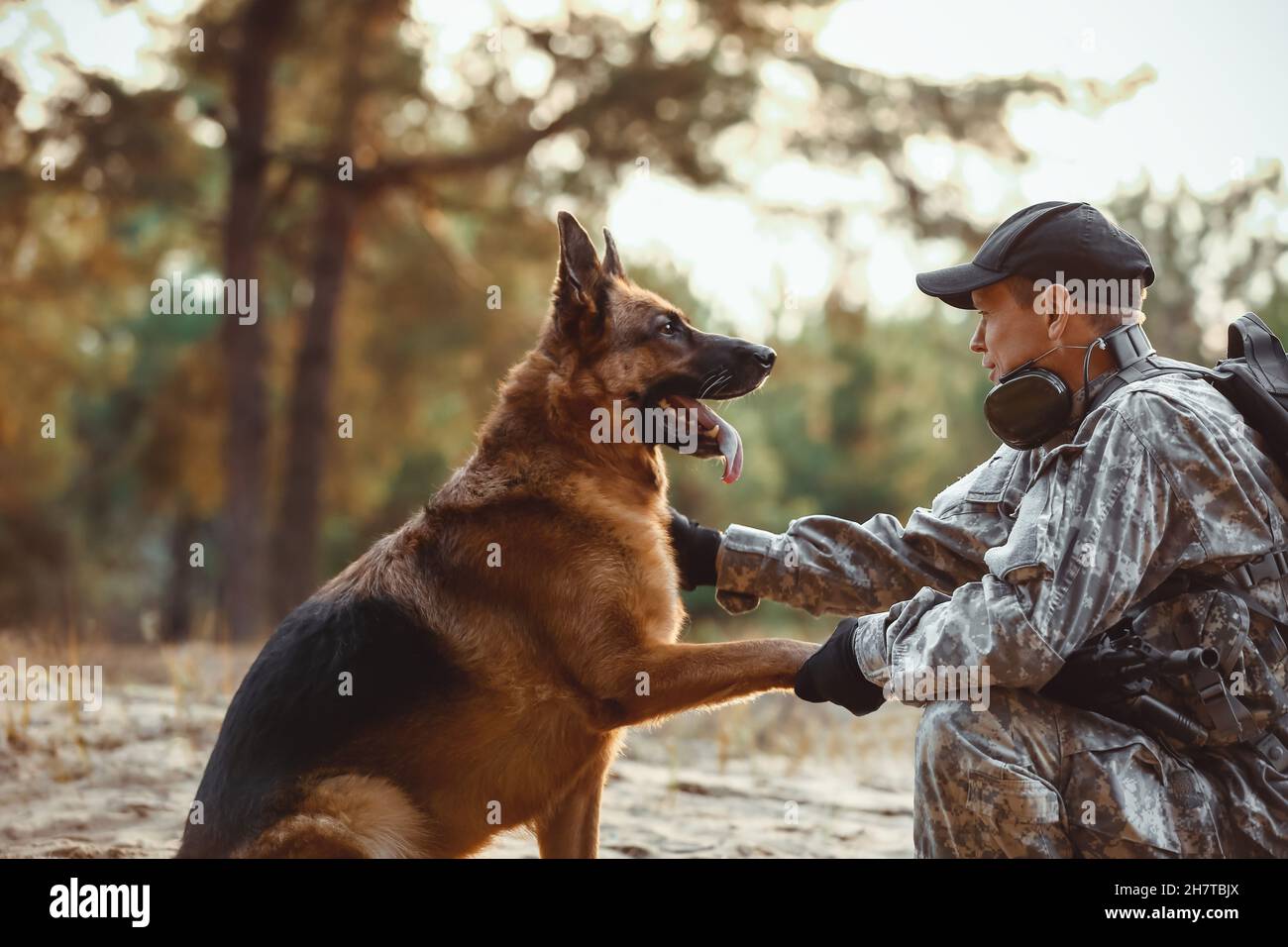 Military working dog giving paw to soldier outdoors Stock Photo - Alamy