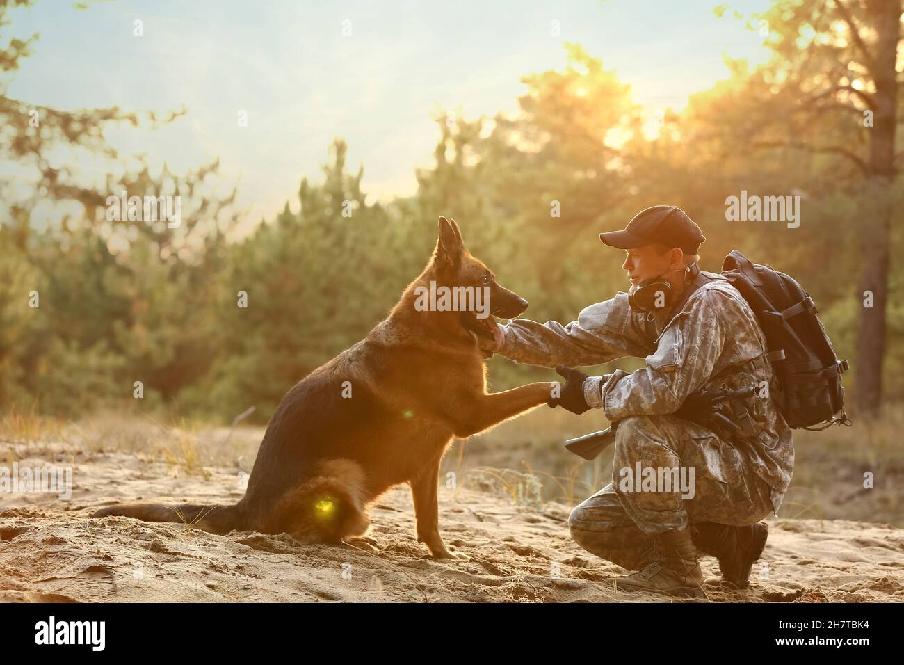 Military working dog giving paw to soldier outdoors Stock Photo - Alamy