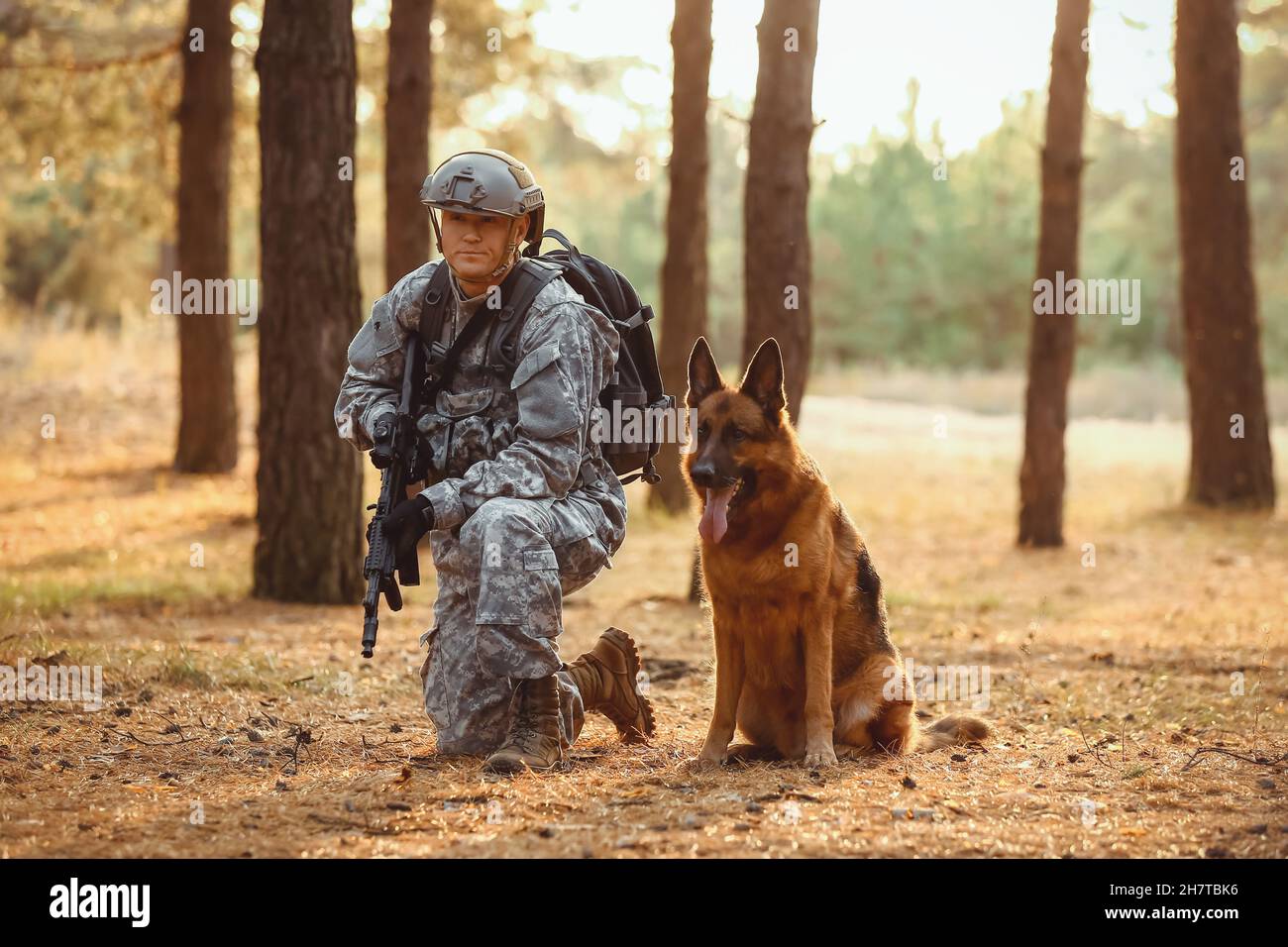 Soldier with military working dog during combat operation outdoors ...