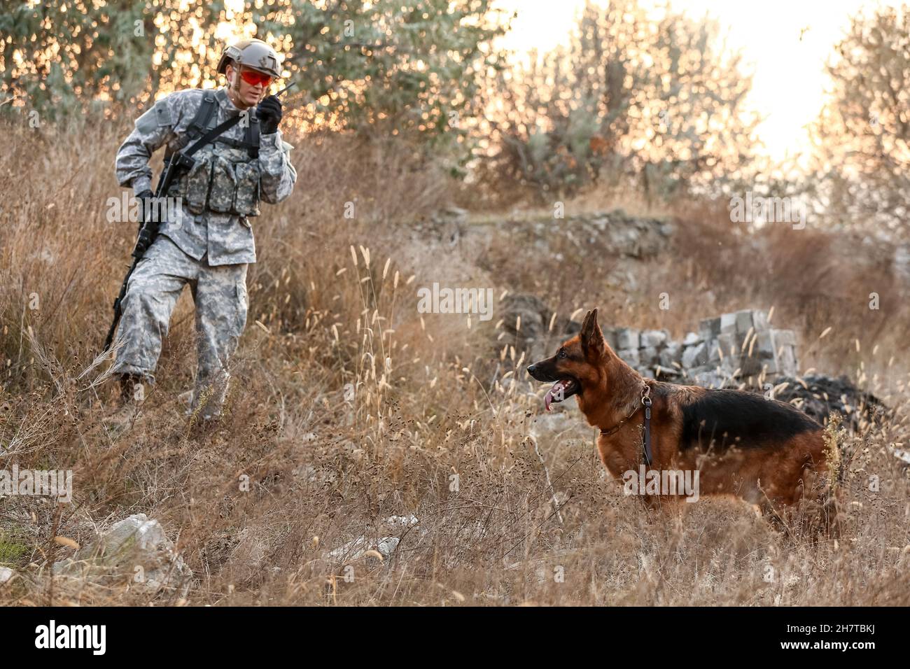Domestic military operation hi-res stock photography and images - Alamy