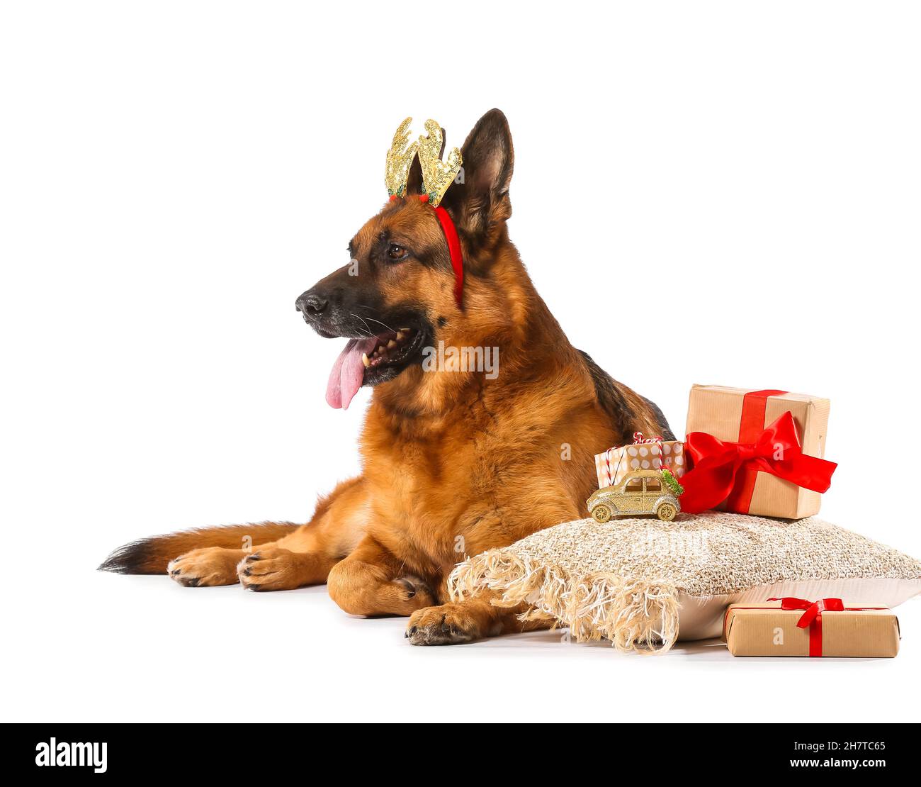 Cute German Shepherd dog with Christmas gifts and deer horns on white ...