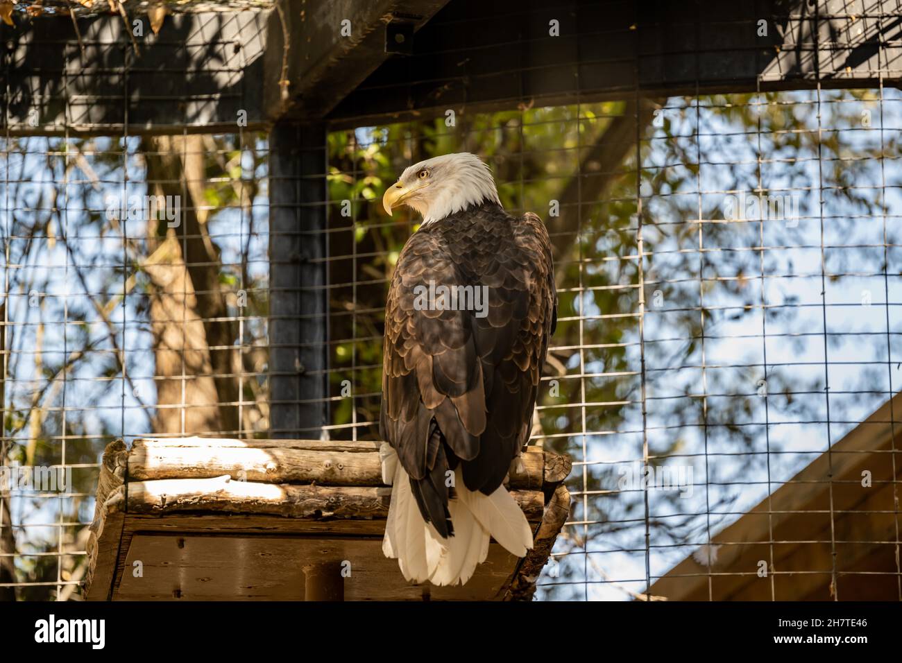Bald mountain california hi-res stock photography and images - Alamy
