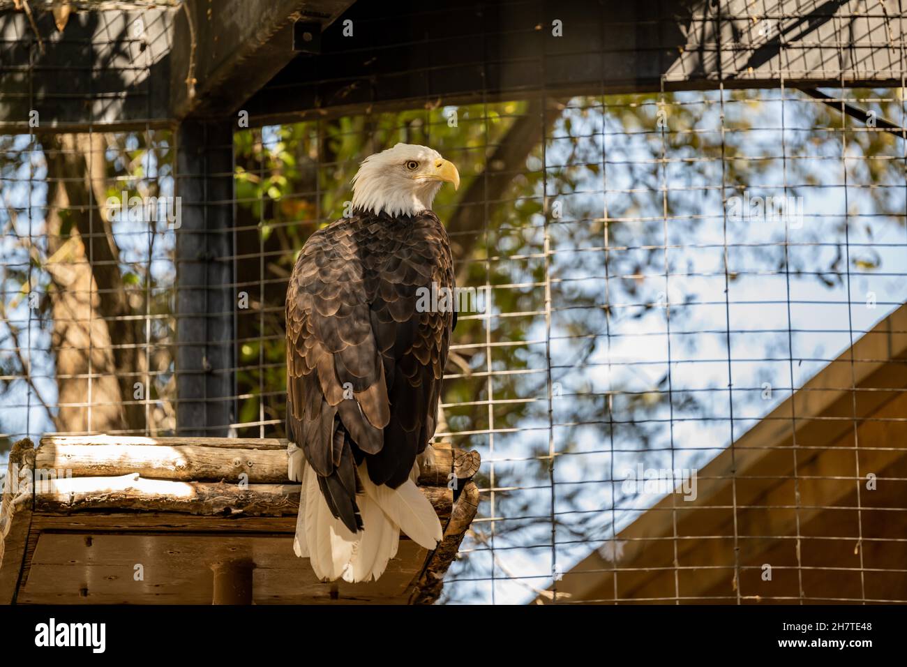 Bald mountain california hi-res stock photography and images - Alamy