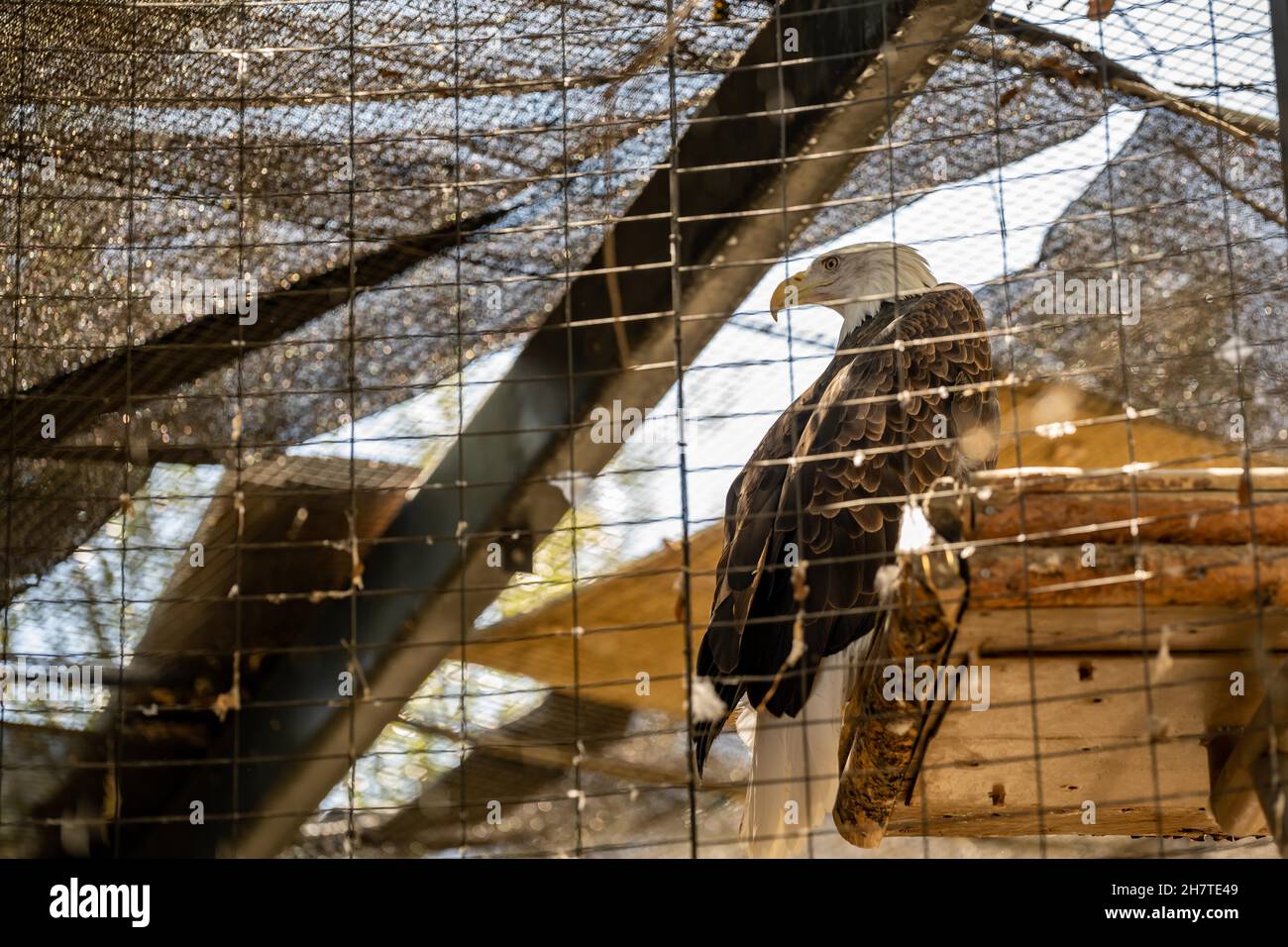 Bald mountain california hi-res stock photography and images - Alamy