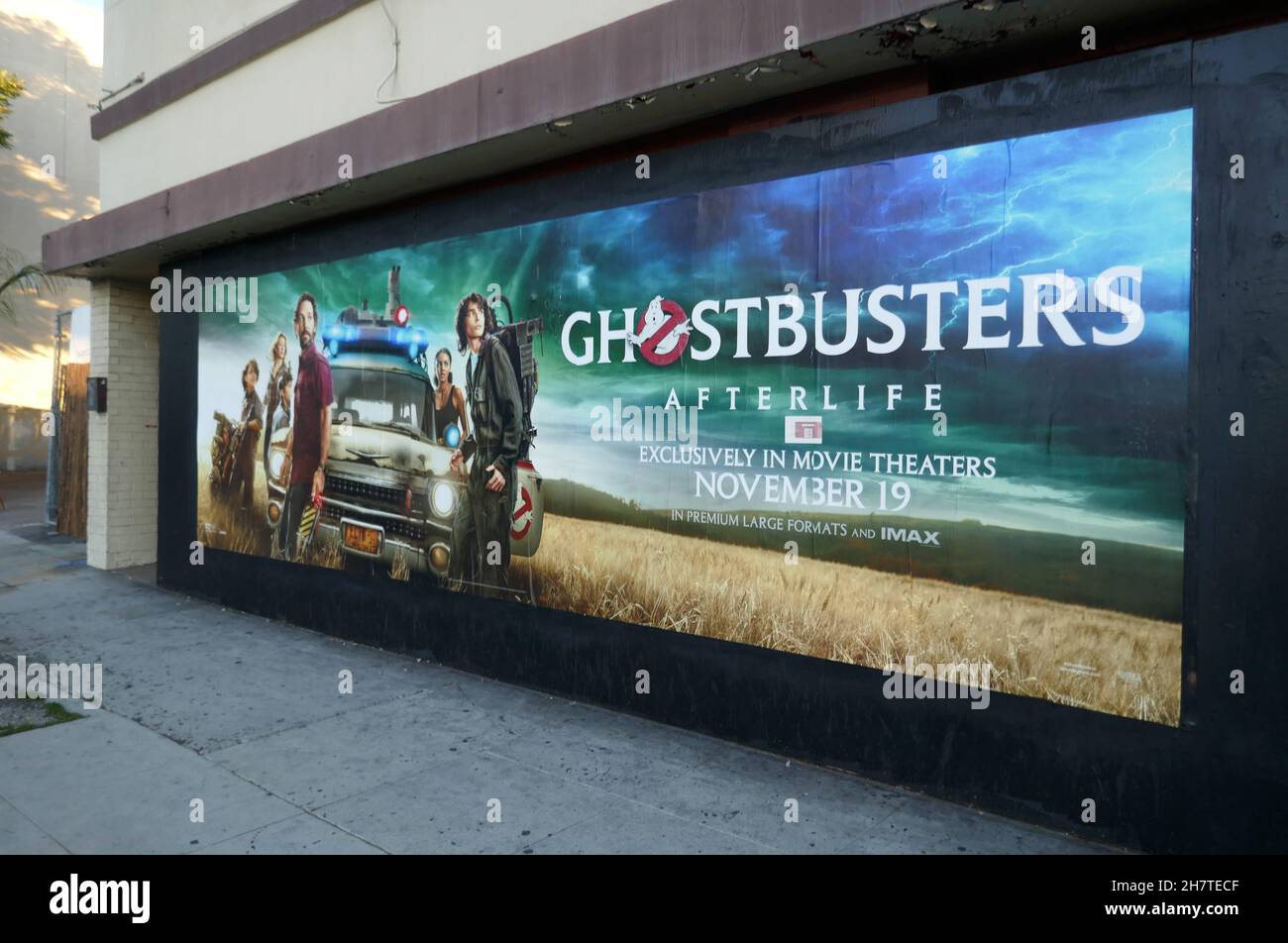 Los Angeles, California, USA 11th November 2021 A General view of ...