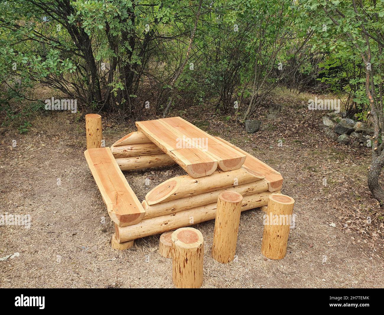 Table and bench for relaxing in the woods Stock Photo - Alamy