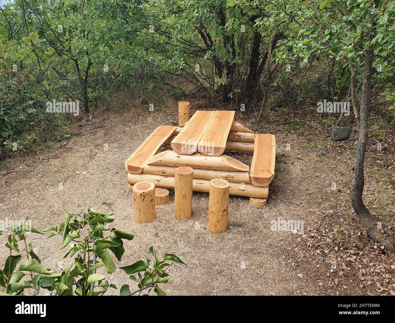 Table and bench for relaxing in the woods Stock Photo - Alamy