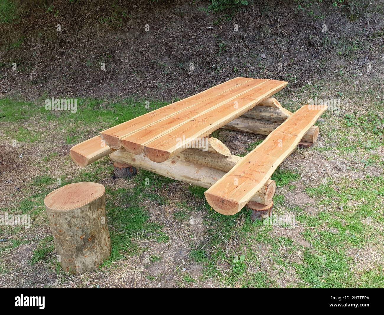 Table and bench for relaxing in the woods Stock Photo - Alamy