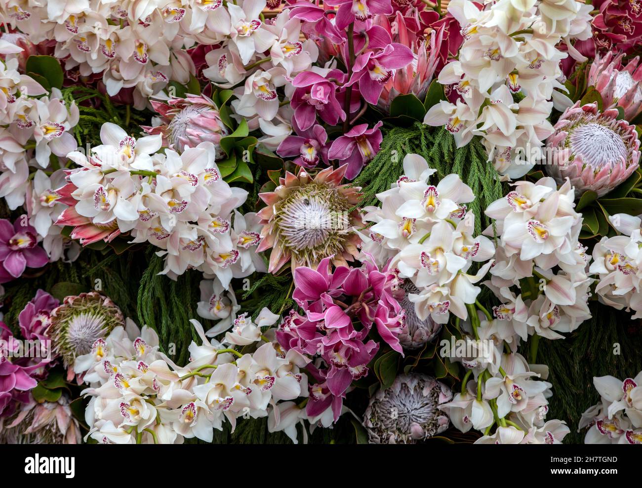 Beauty floristic decoration with colorful tropical flowers Stock Photo ...