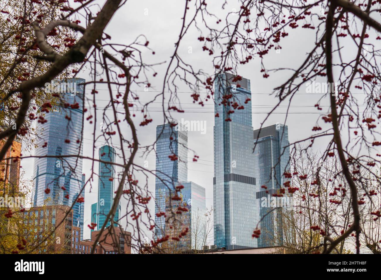 city modern architecture park with a lake urban nature .concept natural ...