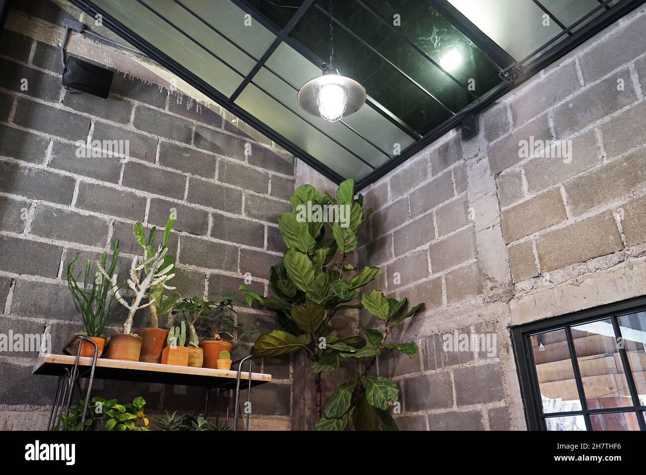 Interior decoration and design at local restaurant and coffee cafe ...