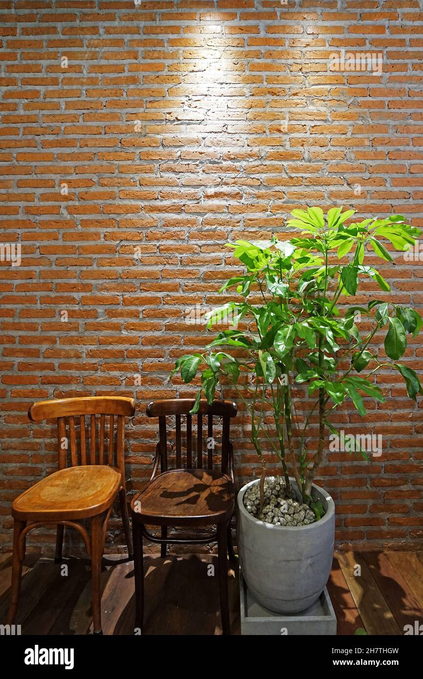 Interior decoration and design at local restaurant and coffee cafe ...