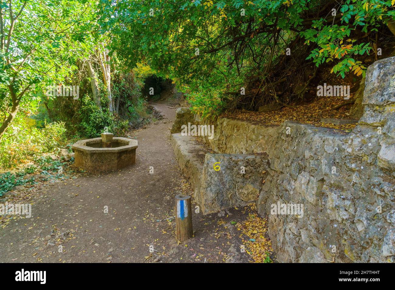 View of a footpath, water pool and a stone bench in Amud Stream Nature ...