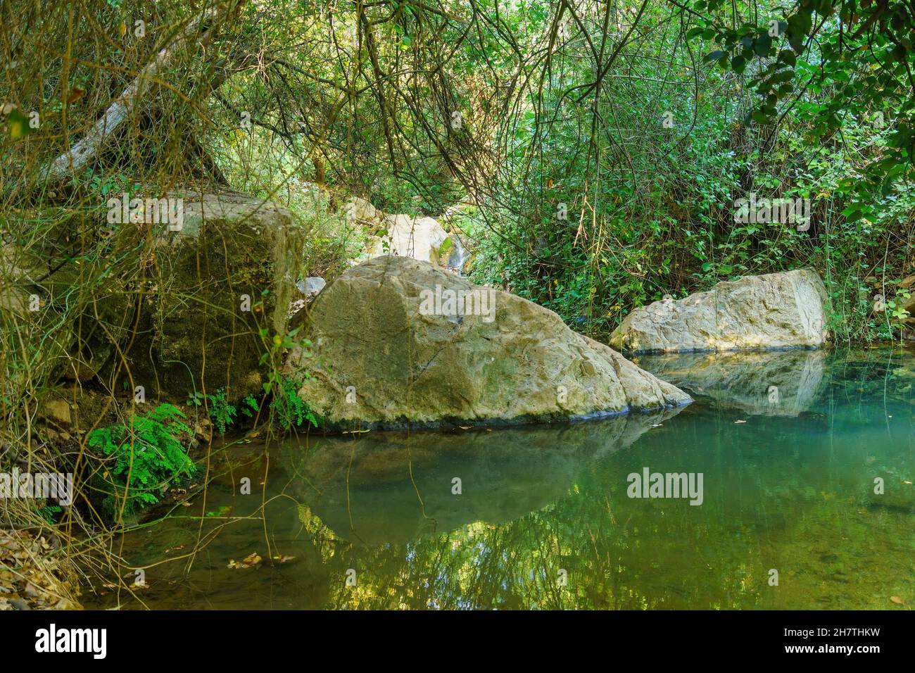 View of water stream and fall foliage, in the Amud Stream Nature ...