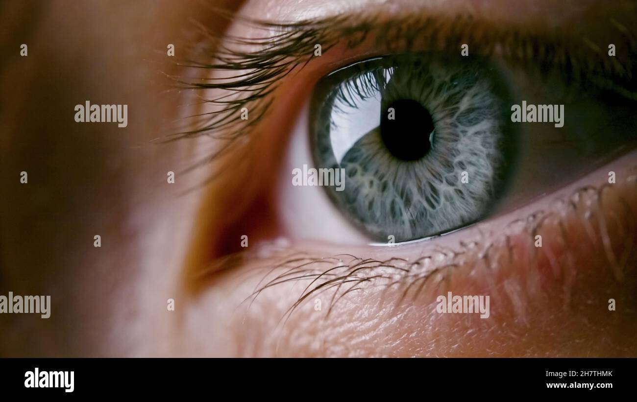 Close-up shooting of the grey female eye Stock Photo - Alamy