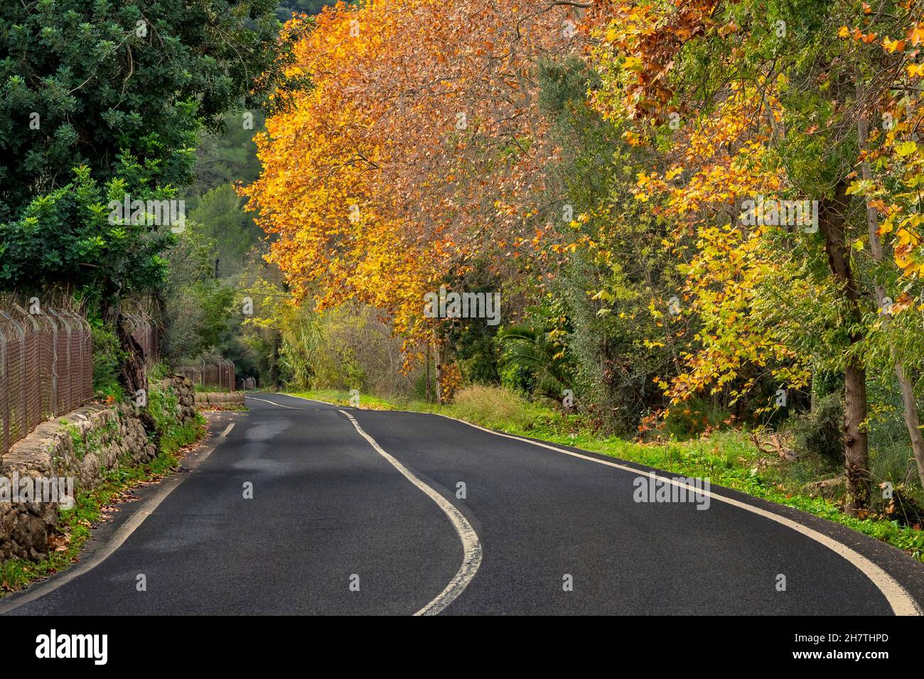 Small road hi-res stock photography and images - Alamy