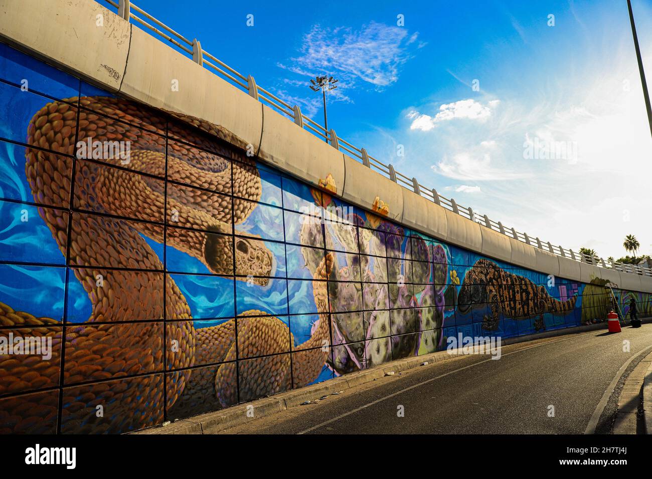 Mural on the Luis Encinas boulevard bridge in Sonora by members of the ...
