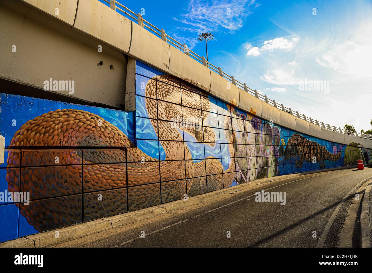 Mural on the Luis Encinas boulevard bridge in Sonora by members of the ...