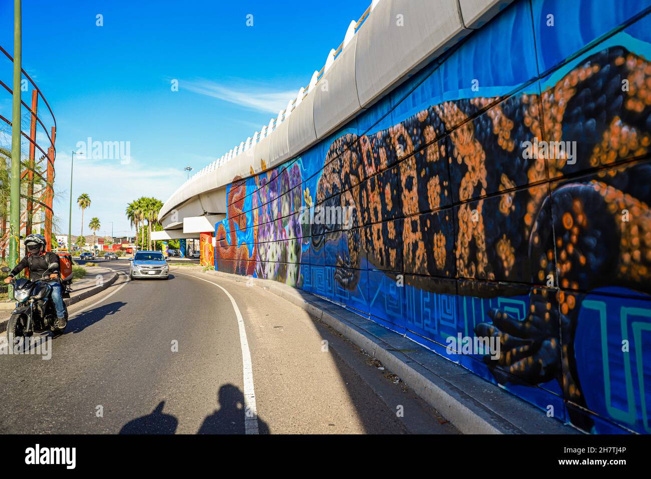 Mural on the Luis Encinas boulevard bridge in Sonora by members of the ...