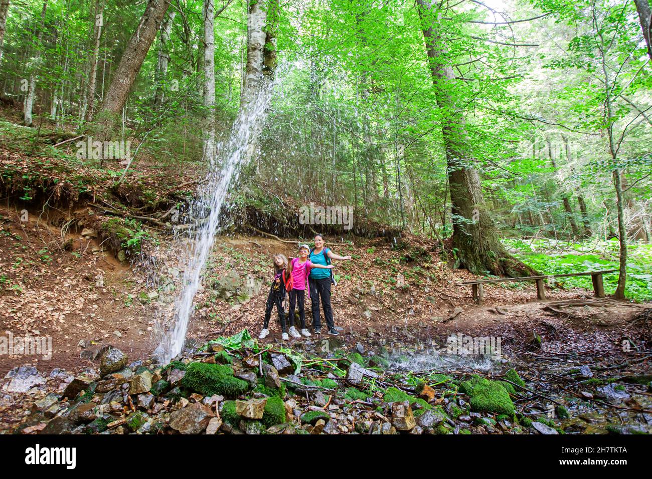 Geyser fountain of cold water in the summer forest. Family at tourist ...