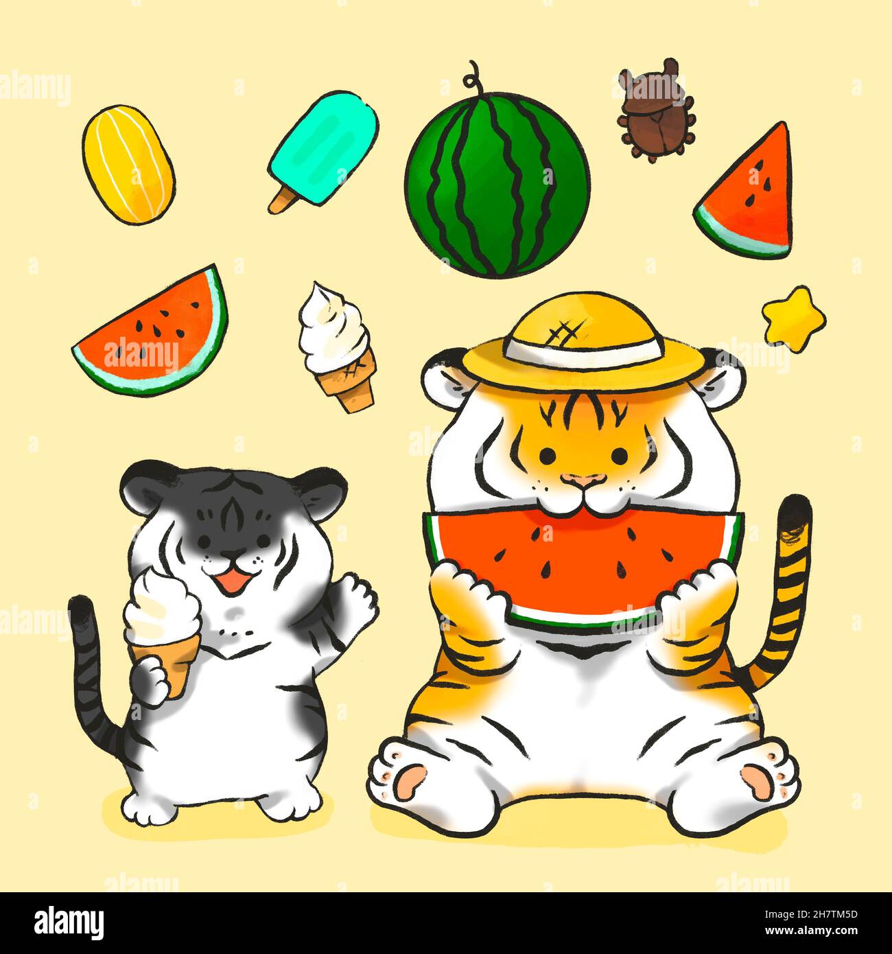 2022 year of tiger, two tigers eating watermelon in summer Stock Photo ...