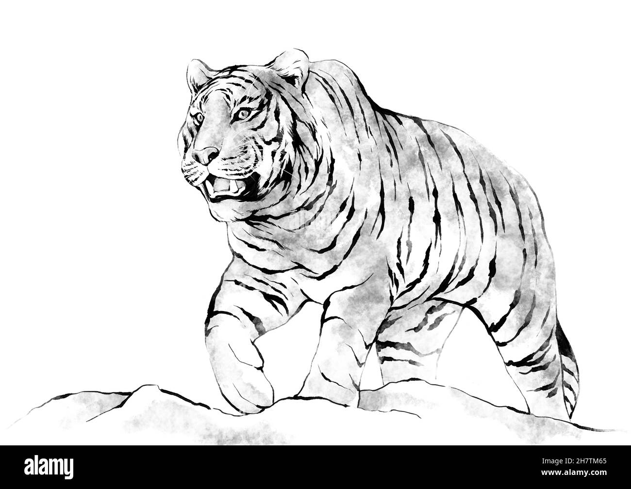 oriental ink painting of tiger Stock Photo - Alamy
