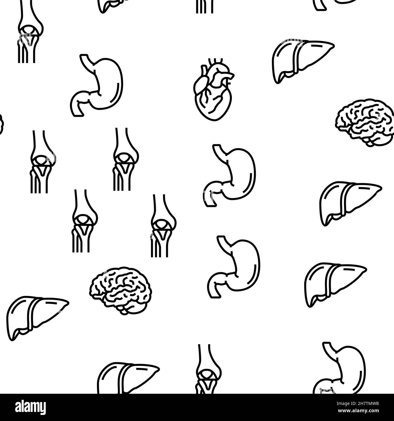 Human Internal Organ Anatomy Vector Seamless Pattern Stock Vector Image ...