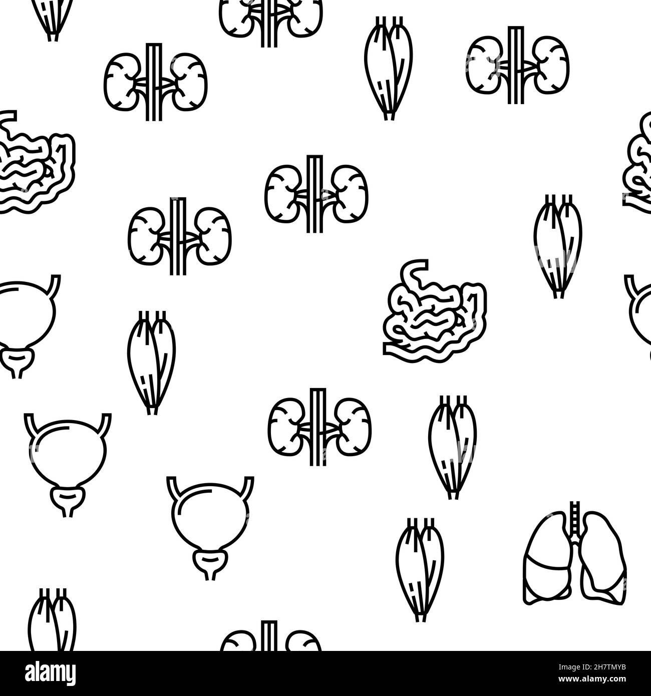 Human Internal Organ Anatomy Vector Seamless Pattern Stock Vector Image ...