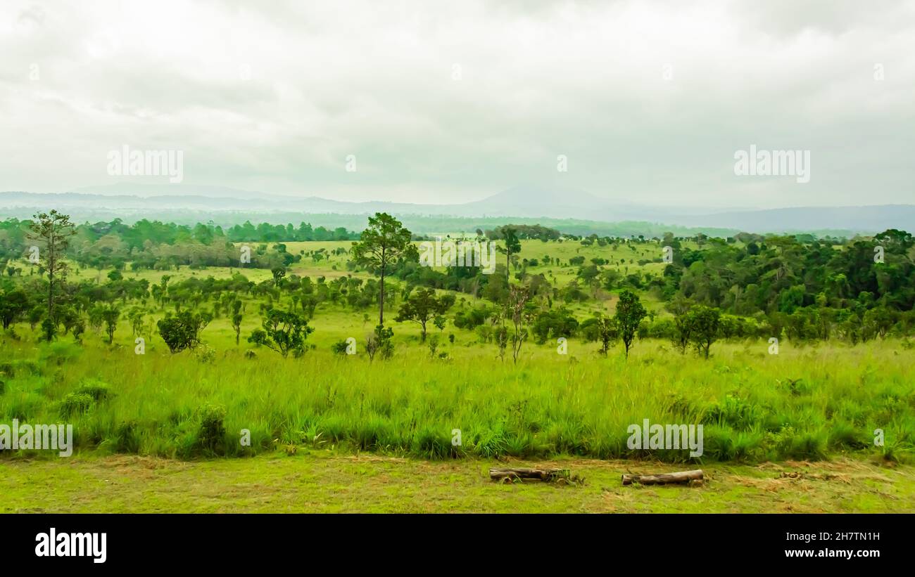 Beautiful forest landscape in Thung Salaeng Luang National Park at ...